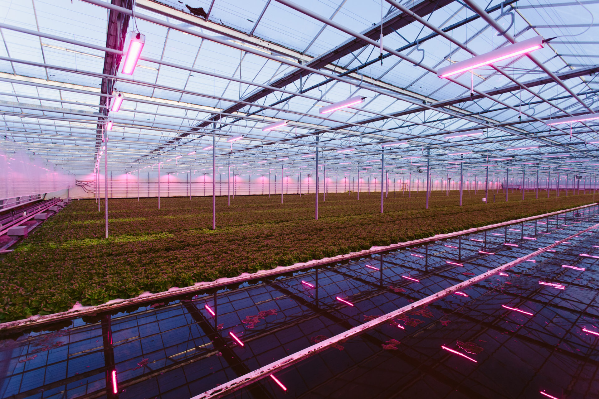 Can LEDs really compare to my HID lighting system? | P.L. Light Systems ...
