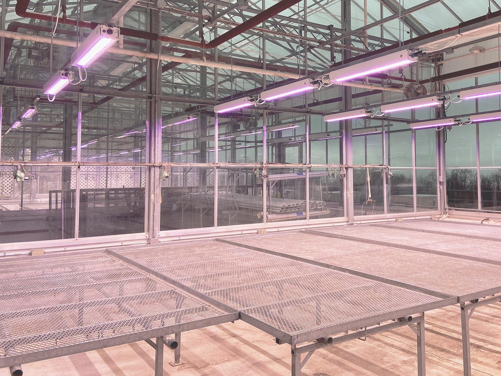 Queen's University | P.L. Light Systems