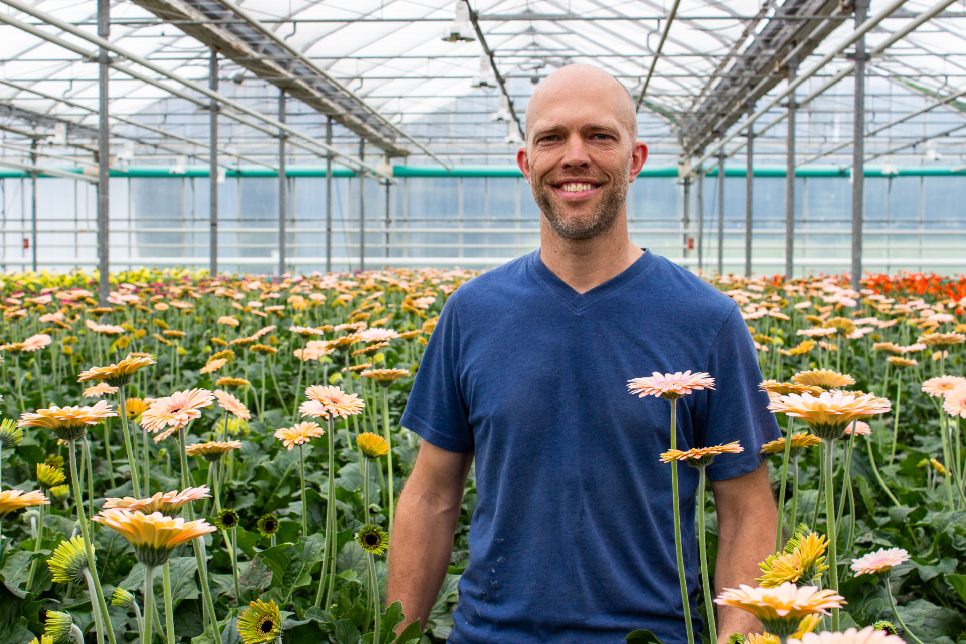 Pine Ridge Gardens | P.L. Light Systems