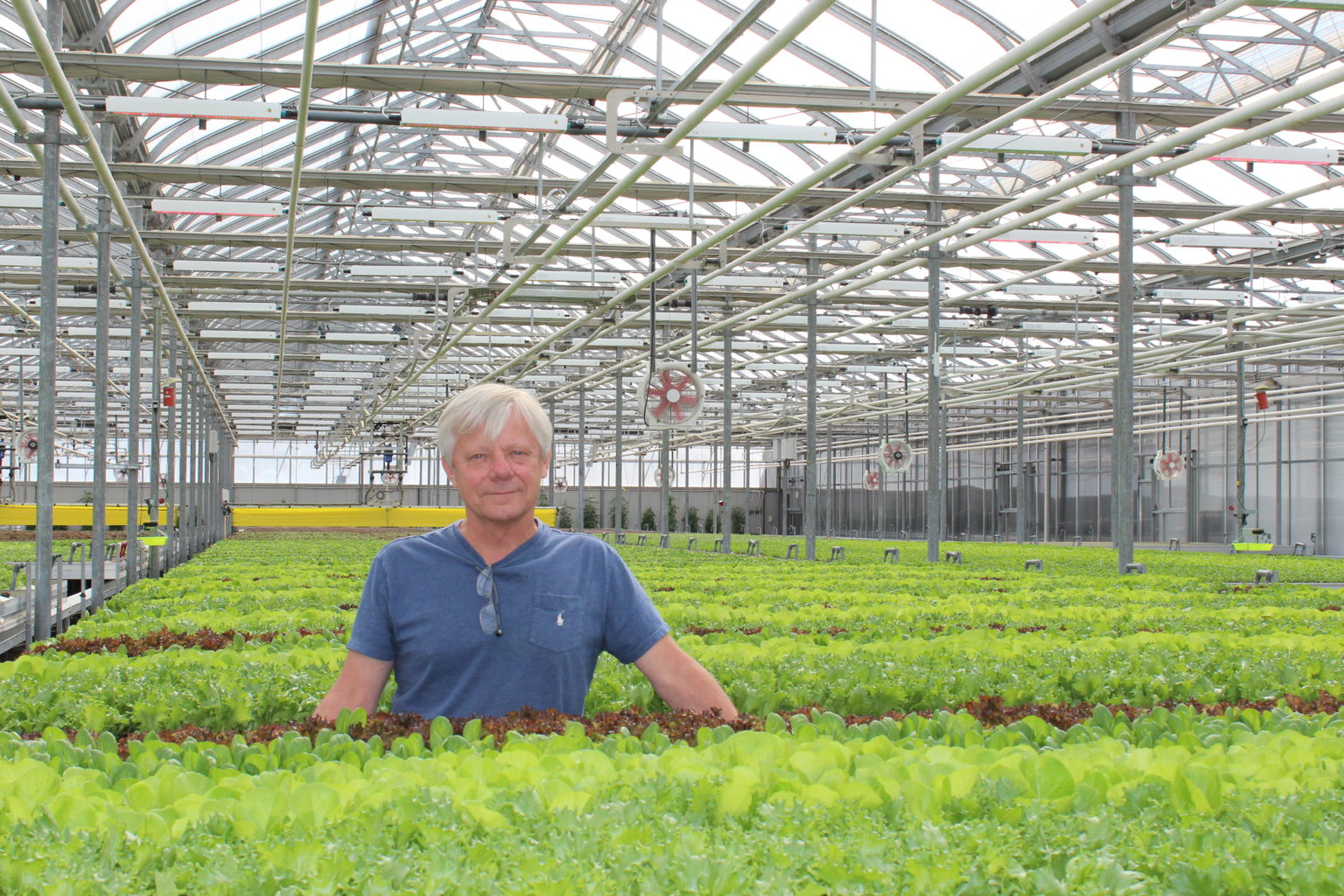 Greenbelt Organic Greens | P.L. Light Systems | Premium Commercial ...