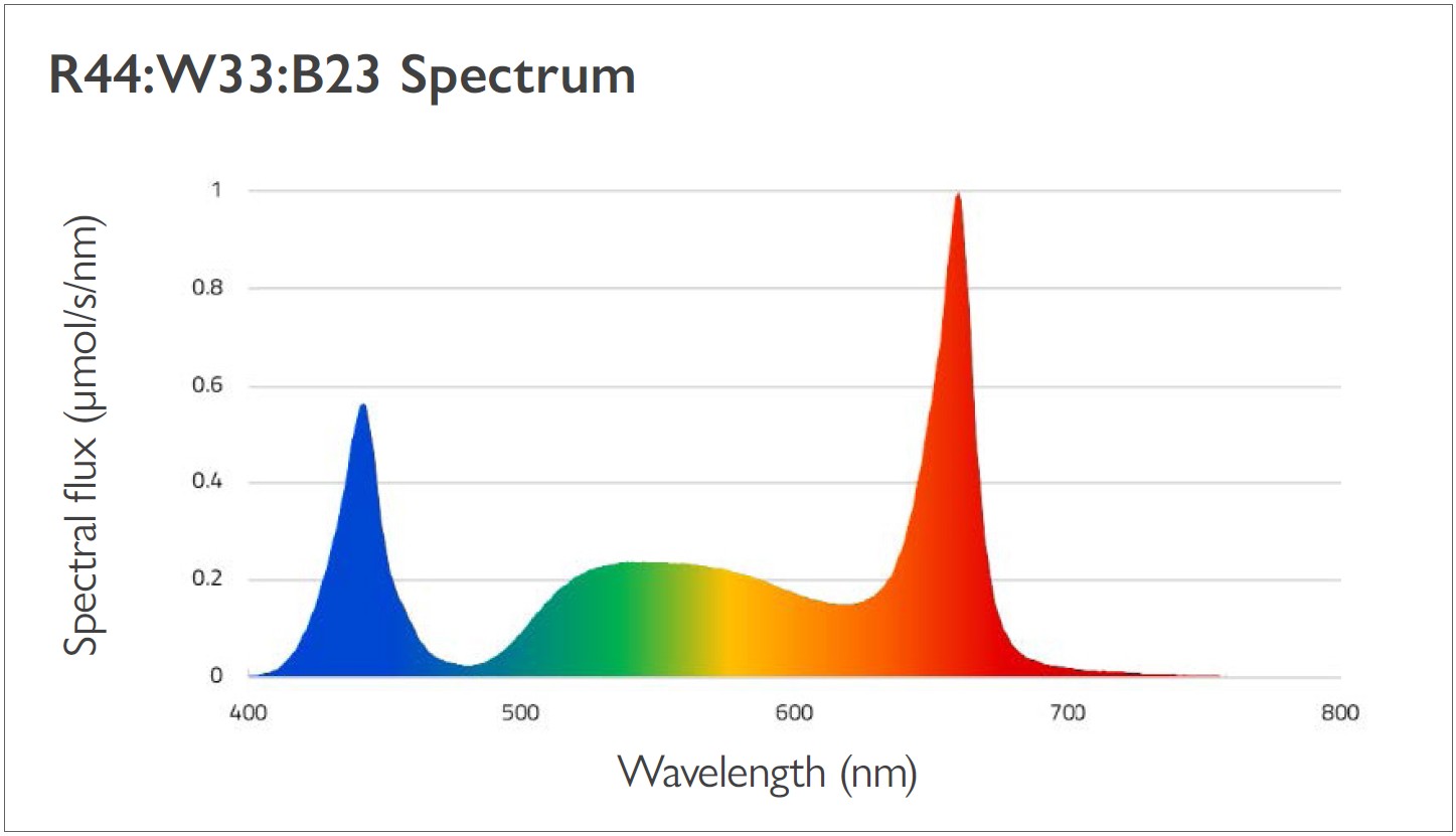 BalensBeam | P.L. Light Systems | Premium Commercial Horticultural Grow ...