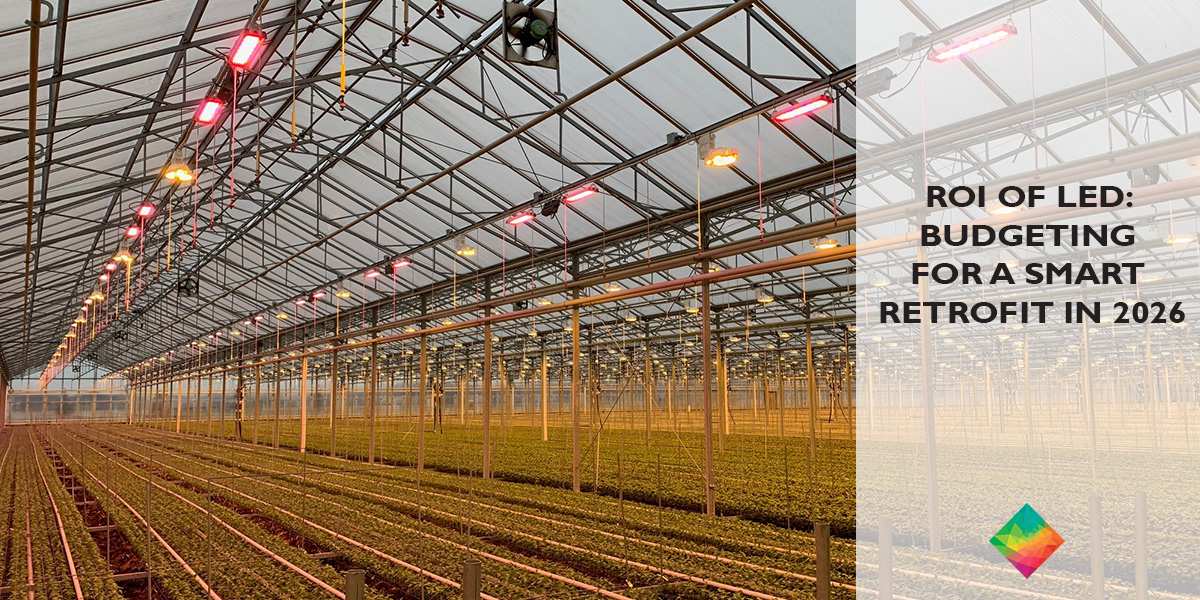 The ROI of LED Lighting: Retrofitting in 2026 | P.L. Light Systems ...